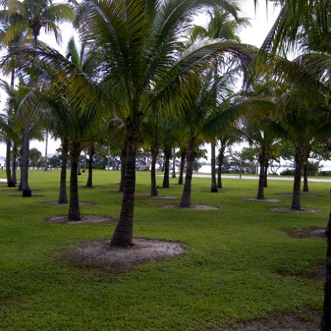 Morningside Park - Upper Eastside - Miami, FL