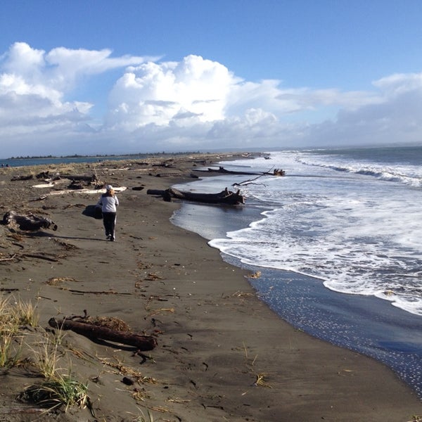 Damon Point State Park - Beach in Ocean Shores