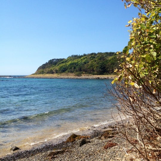 Bombo Beach - Beach