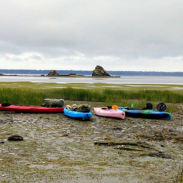 Willapa Bay - Oysterville, WA