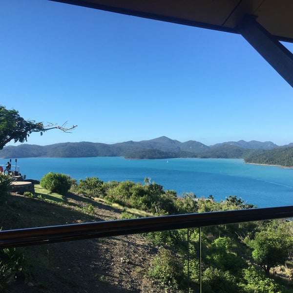 One Tree Hill - Scenic Lookout