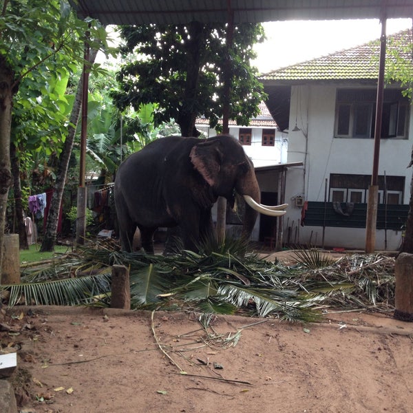 Kotte Raja Maha Viharaya - Temple