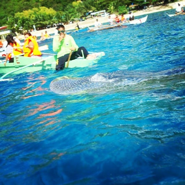 Sumilon Island - Island