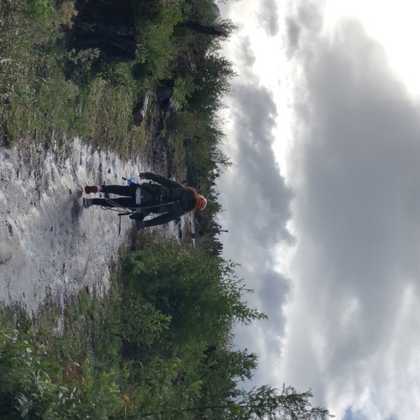 Tsitsikamma Canopy Tours - Stormsrivier, Eastern Cape