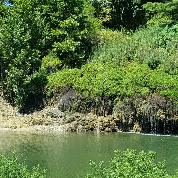 Crockett Gardens And Falls Address | Fasci Garden