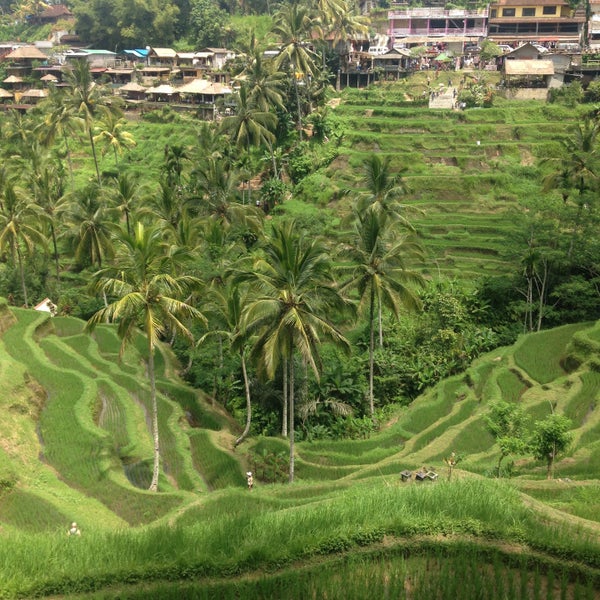 Rice Terraces Ubud Kaja - 3 tips from 195 visitors