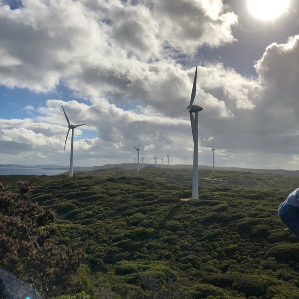 Albany Wind Farm - 5 tips from 260 visitors