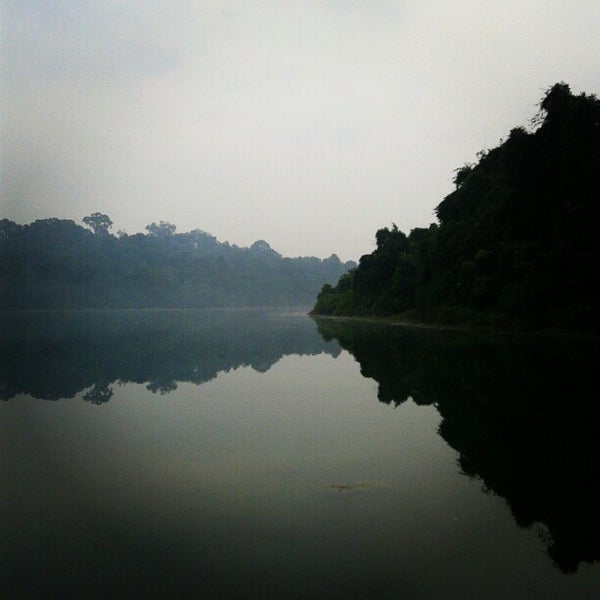 MacRitchie Reservoir Park - Central Catchment Nature Reserve - 62 tips