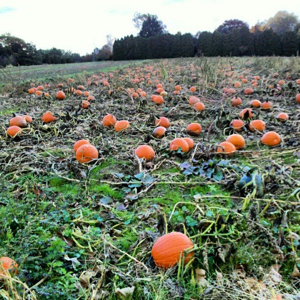 Highland Orchards - Farmers Market in West Chester