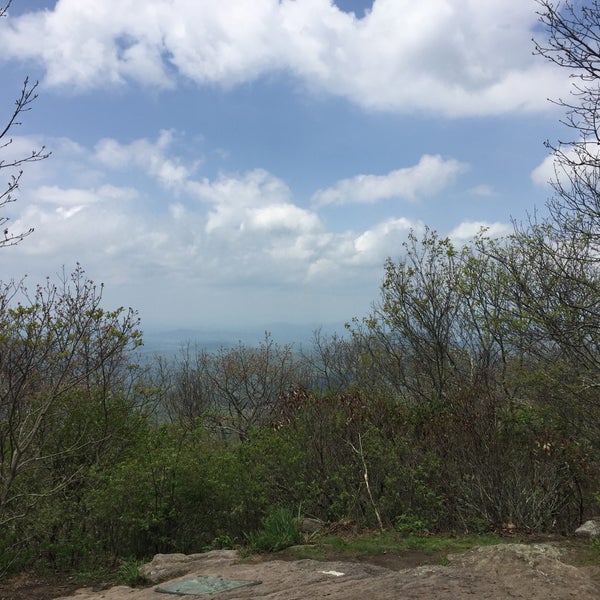 Springer Mountain Summit - 4 tips from 171 visitors