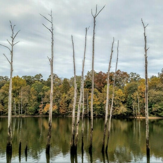 Jackson Lake Island - Millbrook, AL