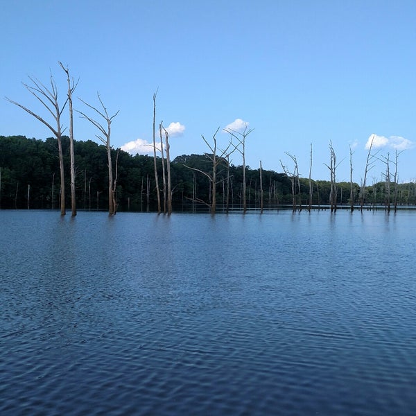 Jackson Lake Island - Millbrook, AL