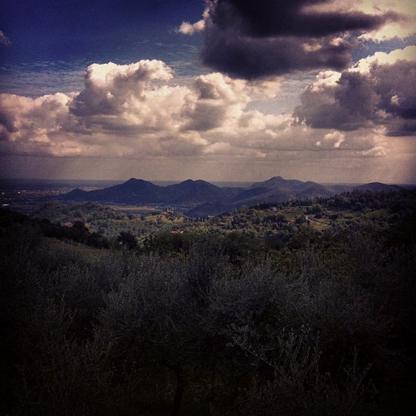 Colli Euganei