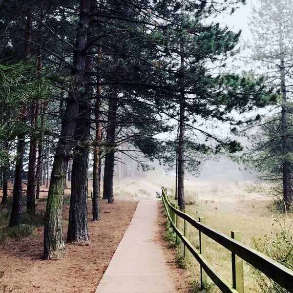 Holkham Park - 2 tips from 60 visitors