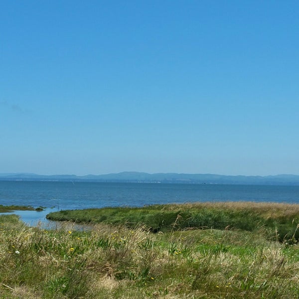 Willapa Bay - Oysterville, WA