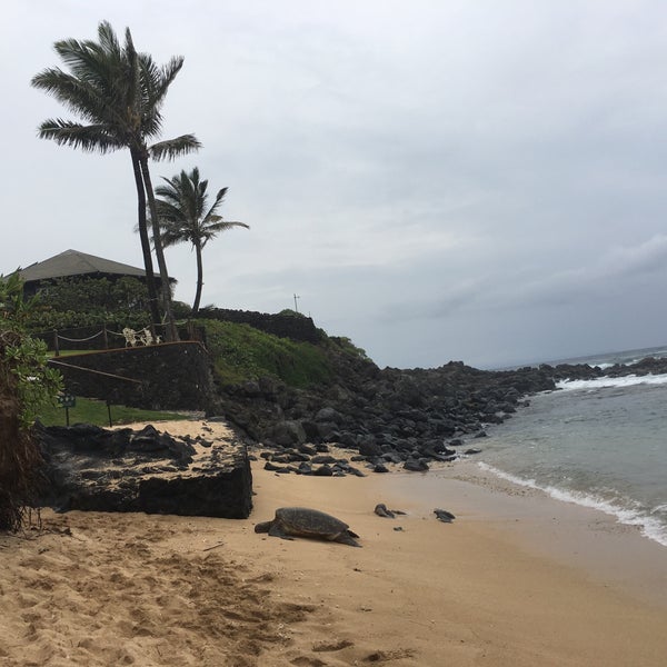 Mama Fish House Beach - paia