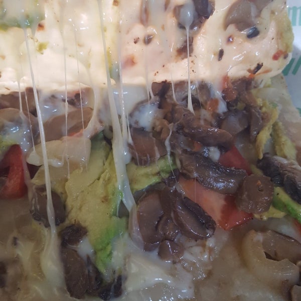 Burro Percheron - 6 tips