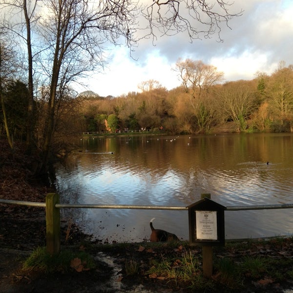 Hampstead Heath Ponds - Lake in Hampstead Town