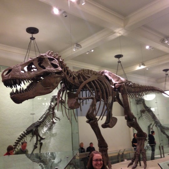Tyrannosaurus Rex! - Upper West Side - 200 Central Park W