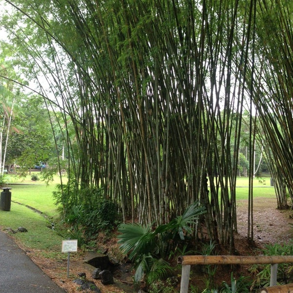 Parque Municipal Summit - 13 tips from 390 visitors