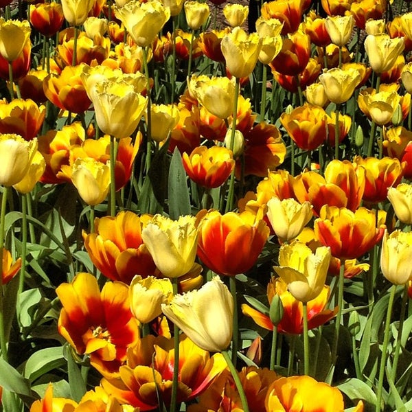 Araluen Botanic Garden - Other Great Outdoors in Roleystone