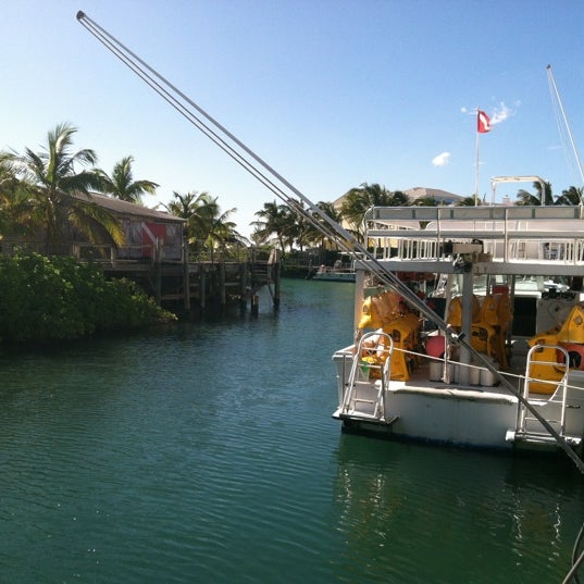 Stuart's Cove Dive Bahamas - 5 tips