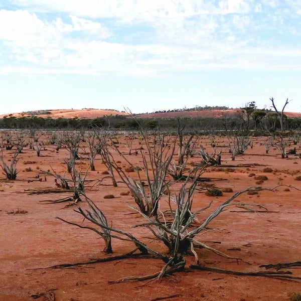 Wave Rock - Hyden, WA