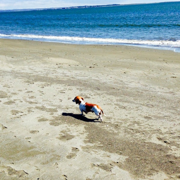 Damon Point State Park - Beach in Ocean Shores