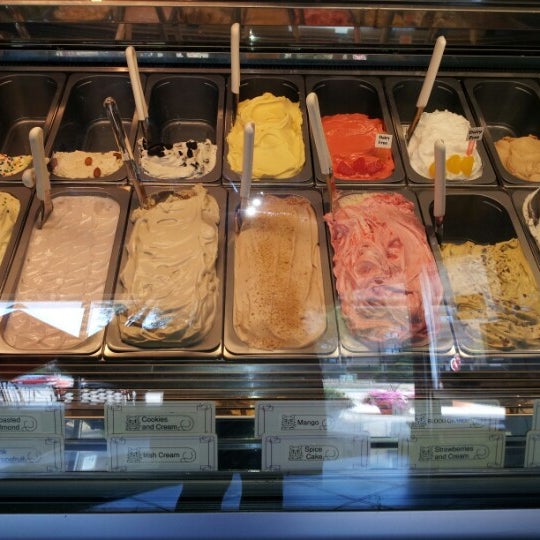 Java Cat - Madison, WI