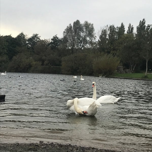 Cosmeston Country Park - Park in Penarth