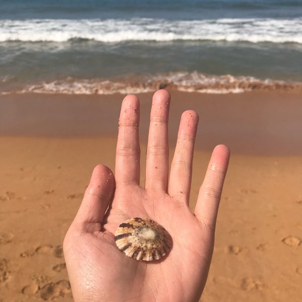 Putty Beach - Beach in Northwood