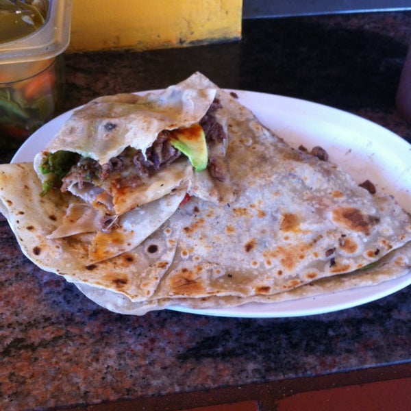 Burro Percheron - 6 tips