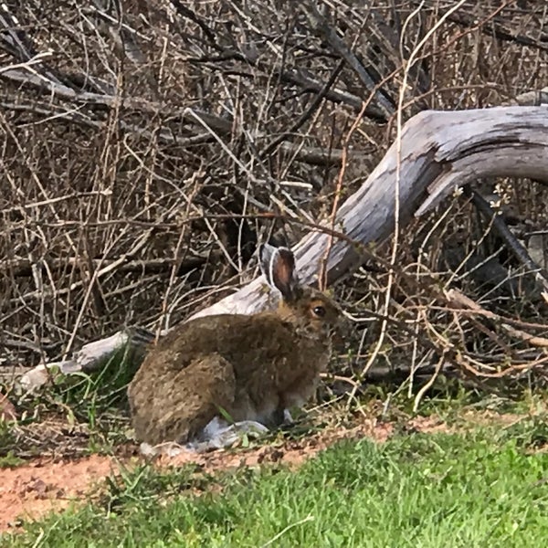 Charlottetown, Prince Edward Island - City