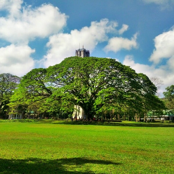 UPLB Freedom Park - Park