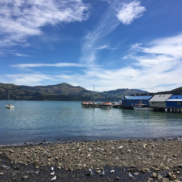 Akaroa Harbour - Akaroa, Canterbury
