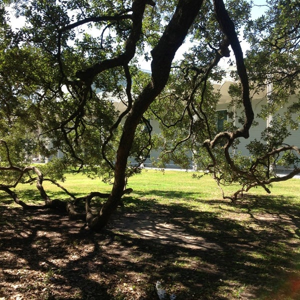 Menil Park - Park in Houston