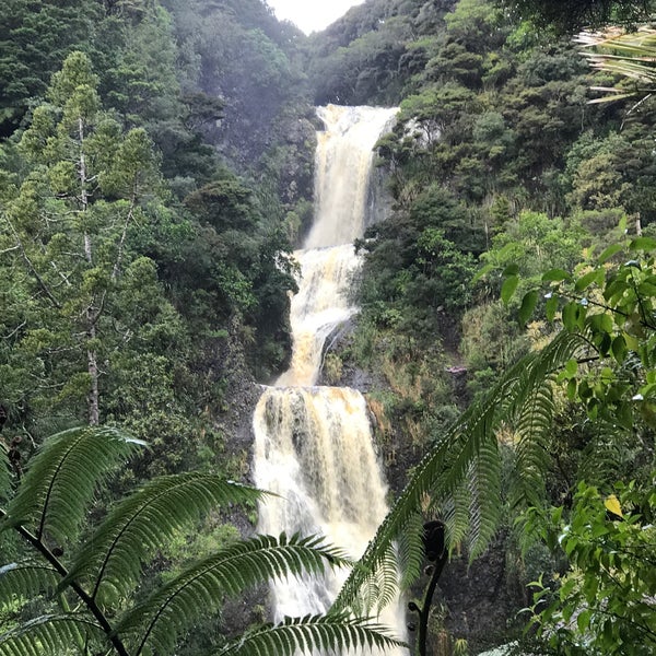 Kitekite Falls - Trail