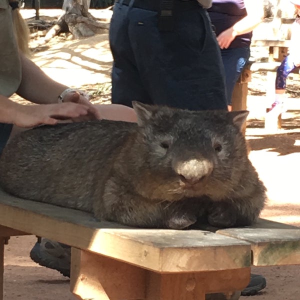 Billabong Sanctuary - Zoo