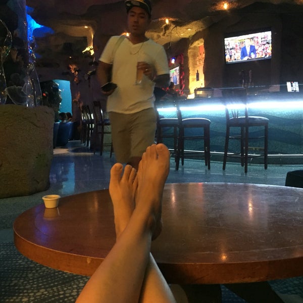 Denver Aquarium - The Dive Lounge - Jefferson Park - 9 tips