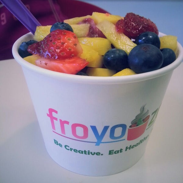 Froyo Zone - 650 S Wadsworth Blvd Ste C