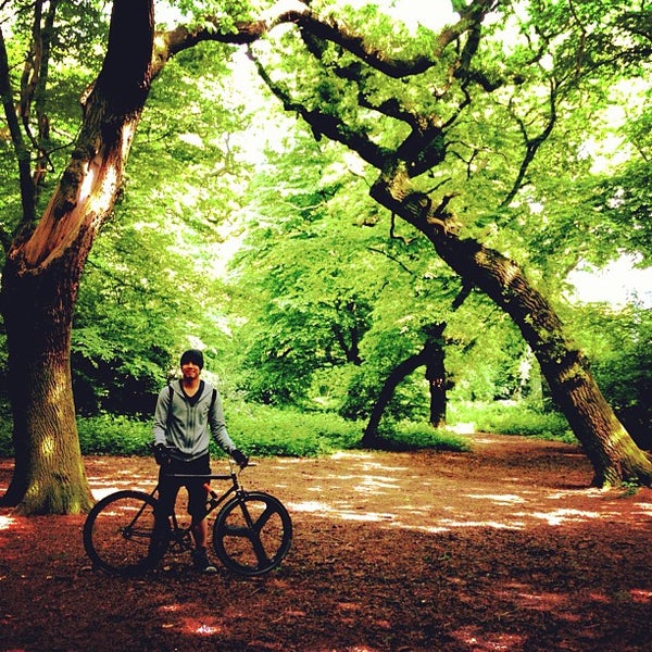 Epping Forest - Essex, Essex