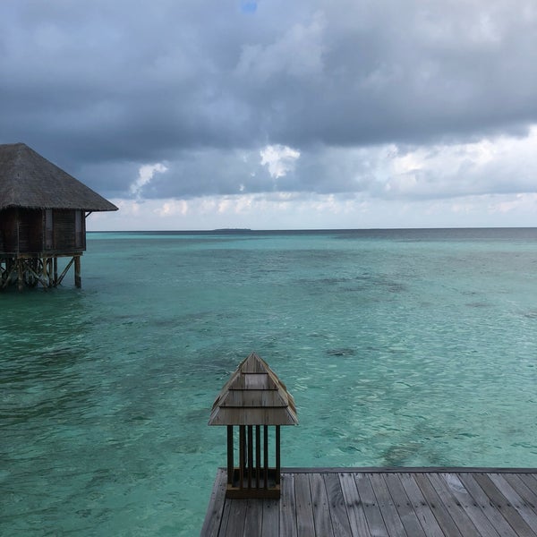 Mandhoo Spa Restaurant - Restaurant