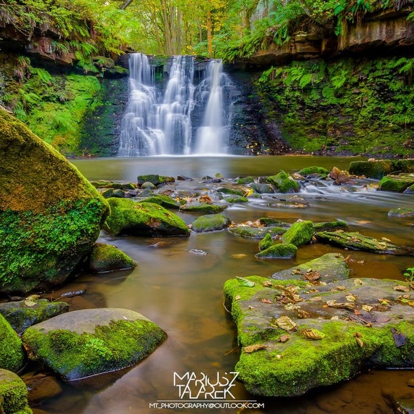 Goit Stock - Shipley - Btw Hallas Bridge and Harden