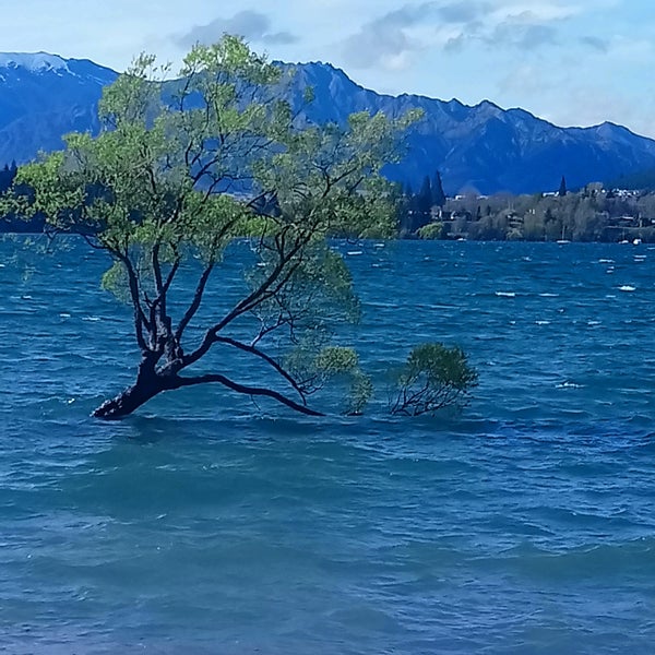 Wanaka - City