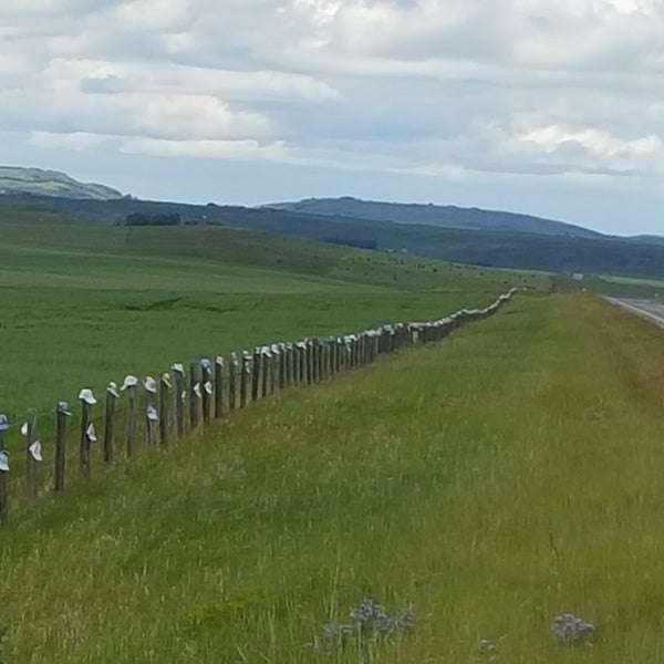 Longview, Alberta - General Travel