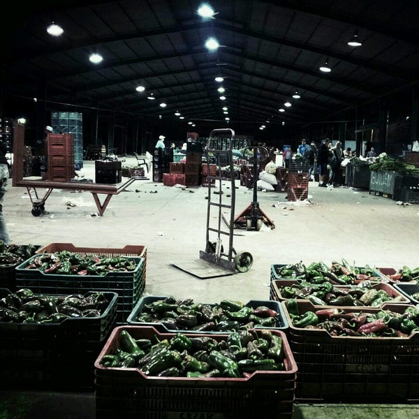 Cenada - Barreal de Heredia