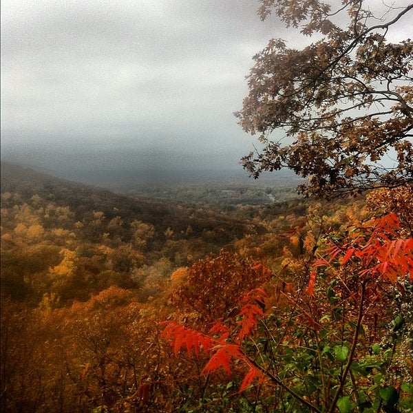 Black Rock Forest - 2 tips from 363 visitors