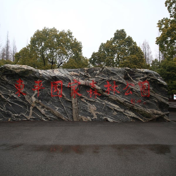 Dongping National Forest Park (东平国家森林公园) - Park in Chóngmíng Island