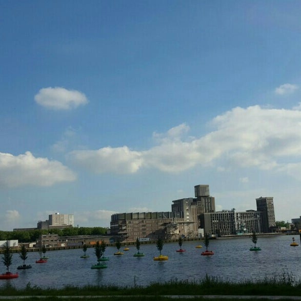 Rijnhaven - Neighborhood in Rotterdam