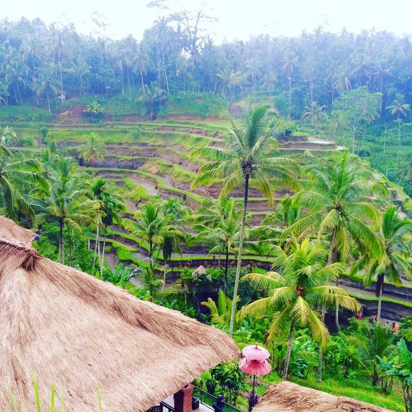 Rice Terraces Ubud Kaja - 3 tips from 195 visitors